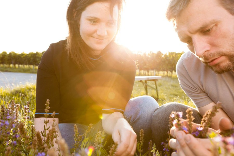 Weingut Judith Beck Ink - Vino Amore